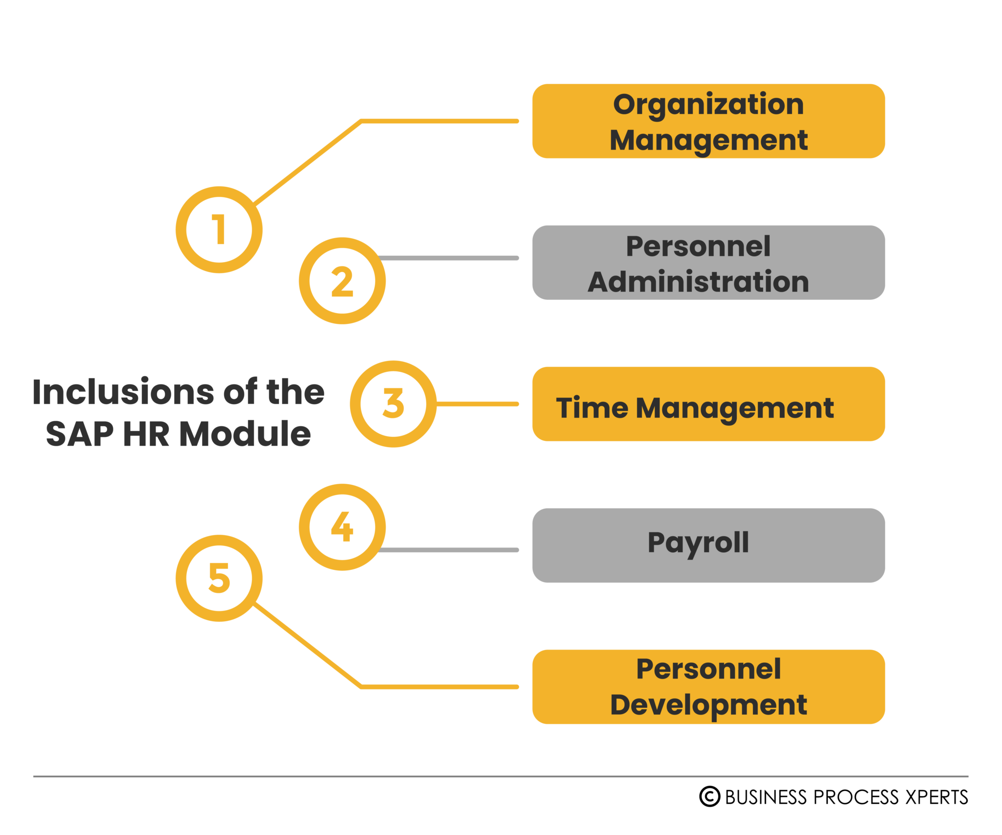 Sap Human Resources Hr Sap Hr Solutions By Sap Partner