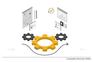 Business Process Consultant, Business Process Services / Solutions